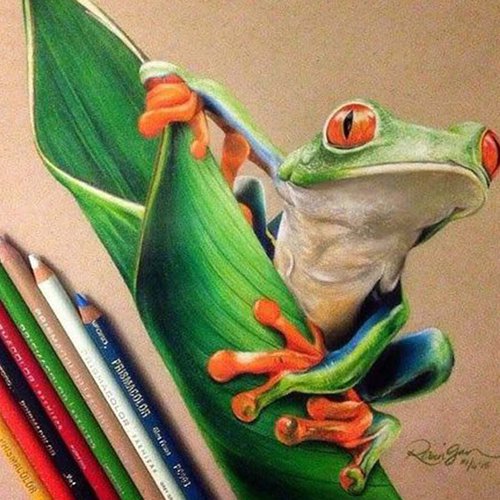 How To Choose Colored Pencil Paper - A Complete Guide